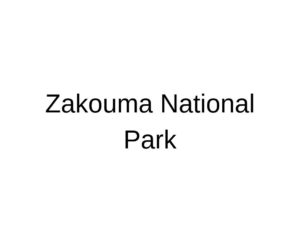Zakouma National Park - National Parks in Africa