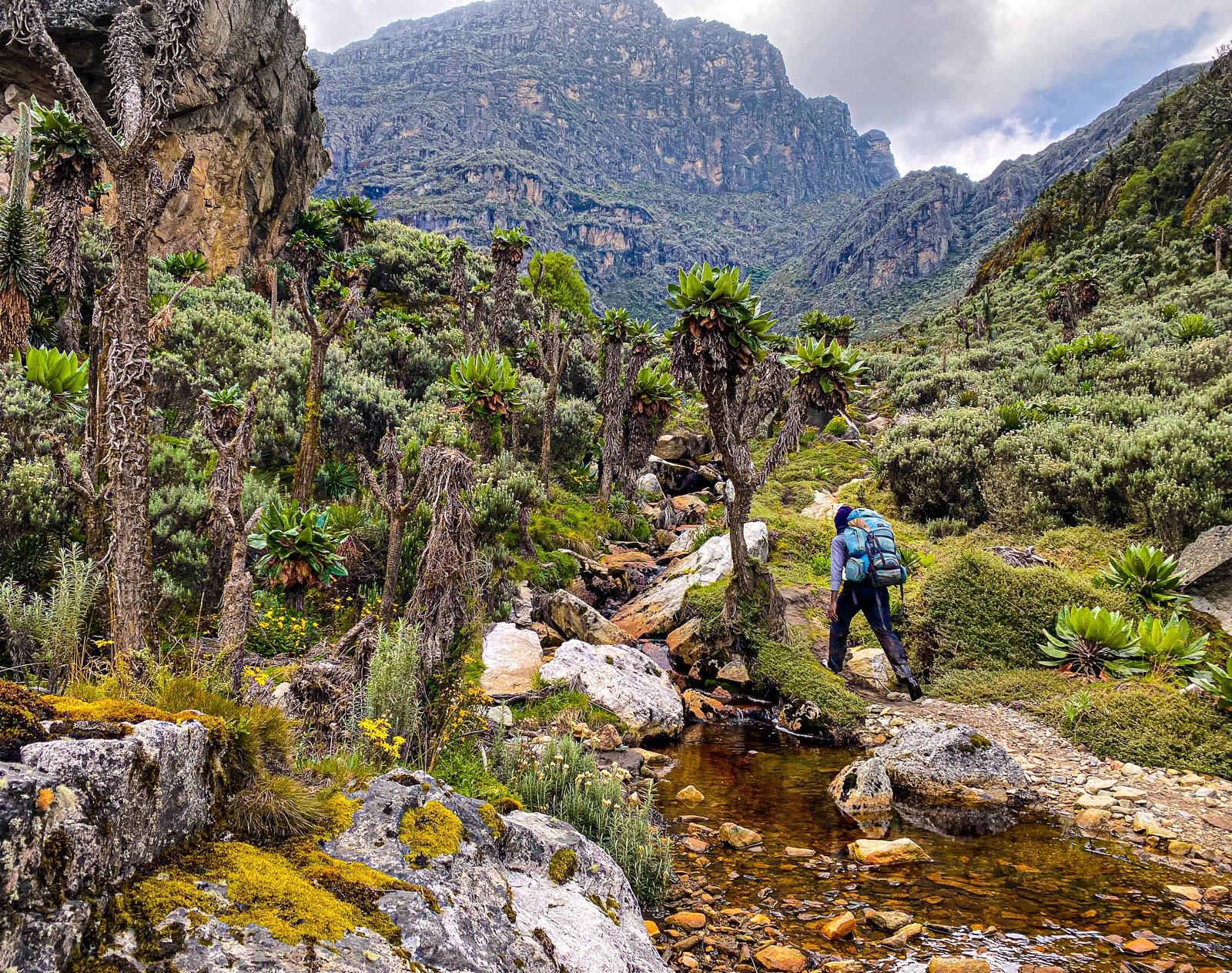 Rwenzori Mountains National Park - National Parks in Africa